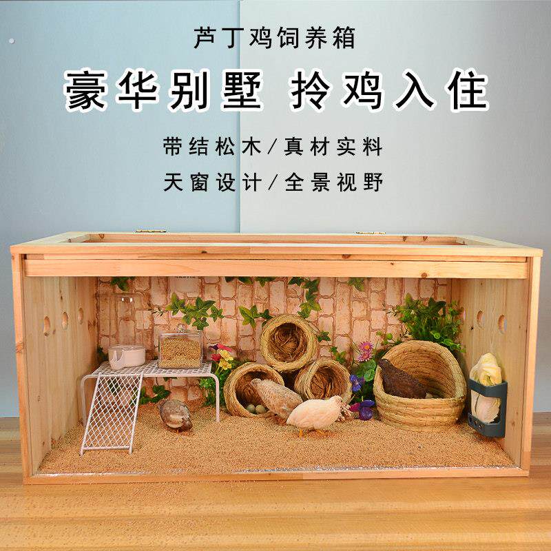 芦丁鸡饲养箱宠物笼科尔鸭笼子鸡窝屋鹌鹑鸽子笼育雏室内保温箱