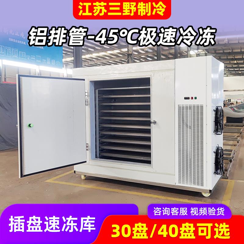 江苏三野饺子面团包子海鲜速冻急冻机商用大容量冷库速冻冰柜定制
