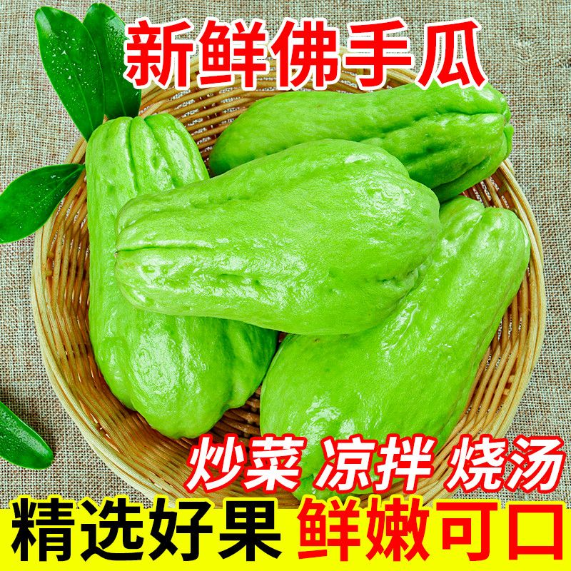 贵州云南四川佛手瓜应季蔬菜现摘现发羊瓜丰收瓜贵州特产