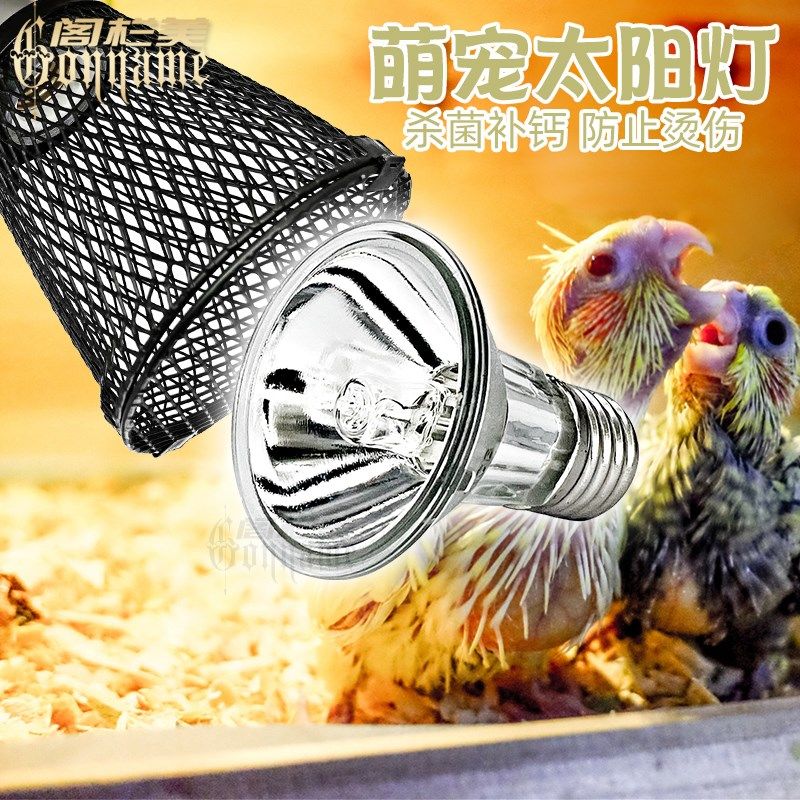 E27螺口晒背灯加温灯爬虫养殖箱UVB大太阳灯繁殖箱保温灯爬宠灯具