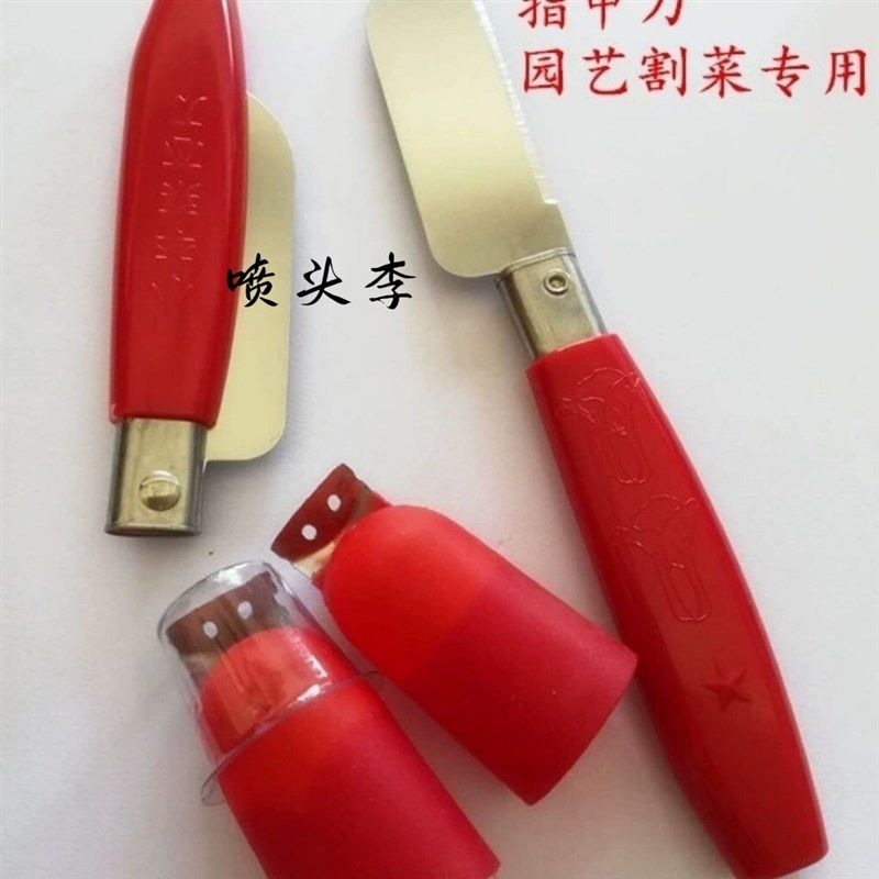 小李不锈钢菜心刀园艺指甲刀割菜摘菜摘辣椒掐豆角厨房剥蒜刀剪
