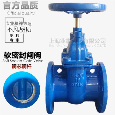 Z45X-16Q自来水50铜芯65铜杆80暗杆100软密封150法兰200闸阀DN300