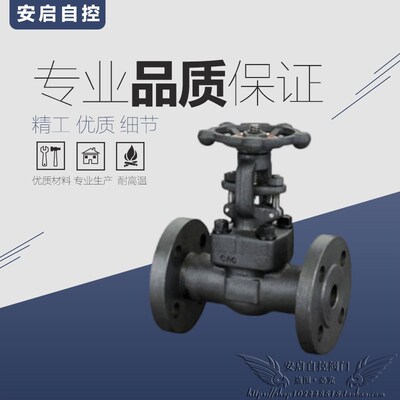 Z41Y-100I高温蒸汽540铬钼钢锻钢法兰闸阀DN15 20 25 32 40 50