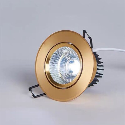 雷欧金色led射灯cob3W5W7W12W15W20W30W40W天花牛眼嵌入式客厅孔