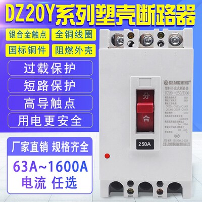 DZ20Y-100A 160A 225A 250A 400A 630A  空气开关塑壳断路器DZ20C