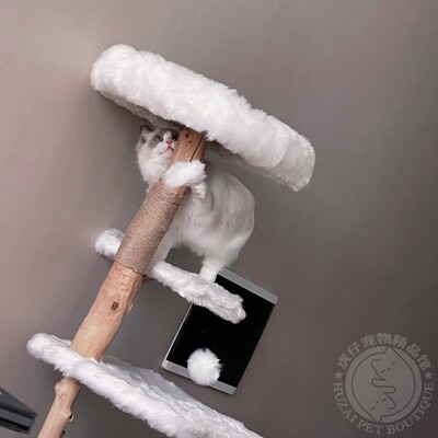 虎仔凯瑞树枝猫爬架猫树一体猫跳台猫抓板猫玩具磨爪宠物猫咪用品