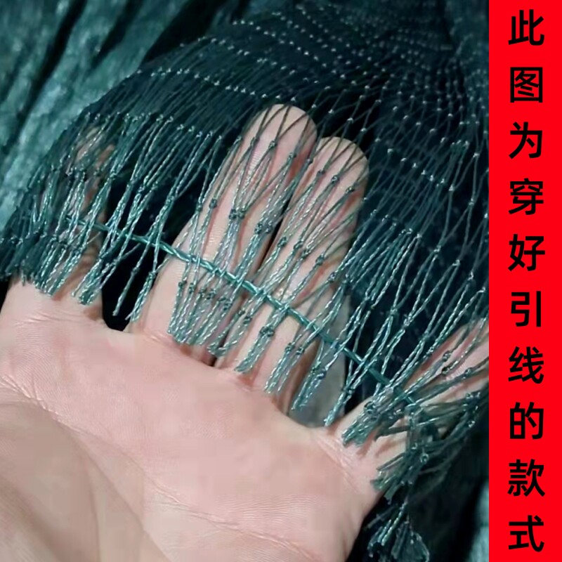 大棚两侧防鸟网草莓棚葡萄樱桃蓝莓果园围边网避雨棚防护网