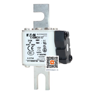 巴斯曼170M3108 3109 3110 3111 17E0M3112 3113 3114 3115熔断器