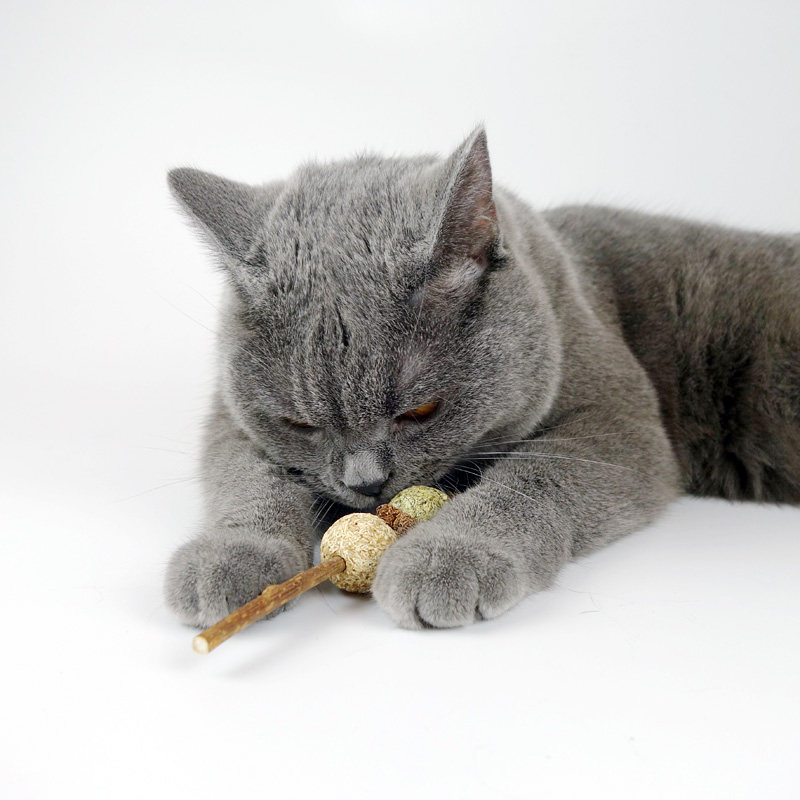 田田猫自嗨神器猫薄荷木天蓼虫瘿果猫磨牙棒猫草耐咬逗猫棒猫玩具