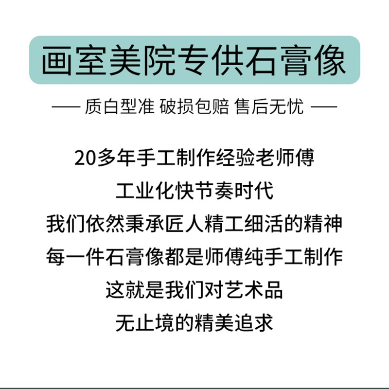 伏尔泰石膏像石膏头像素描美术写生教具工艺品摆件人像模型雕塑