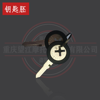 天地游侠G3钥1胚子布雷斯通C钥迷你摩童原车匙匙