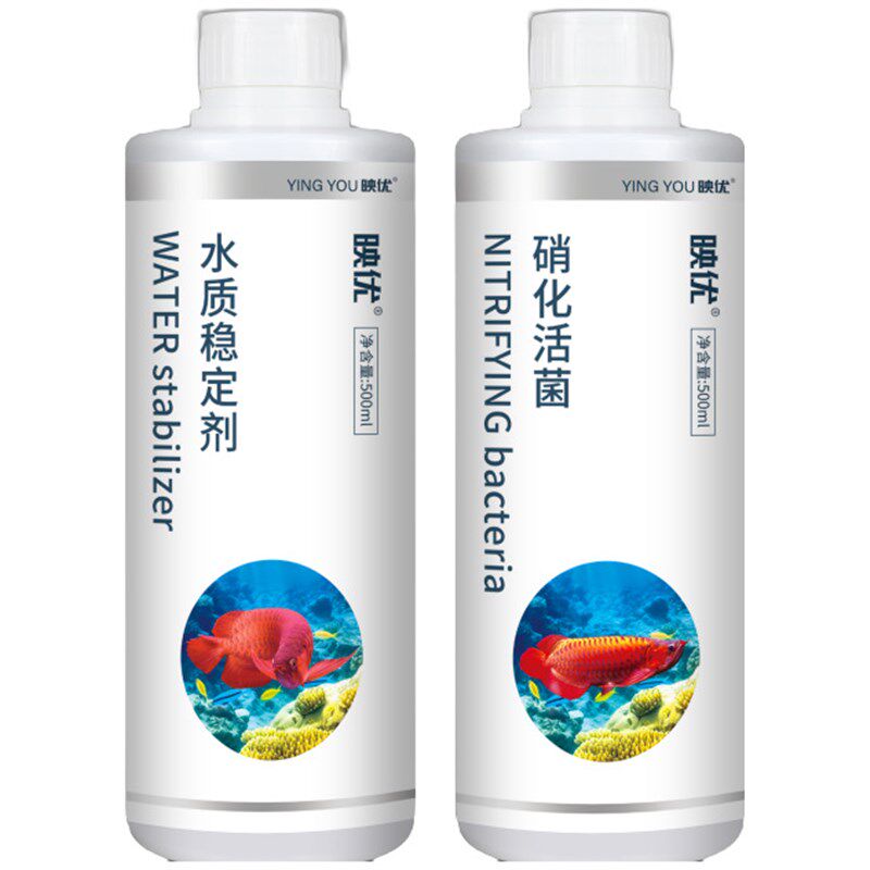 BTING硝化活菌细菌降解氨氮硝酸鱼缸水质稳定剂水族净水液叮叮鱼
