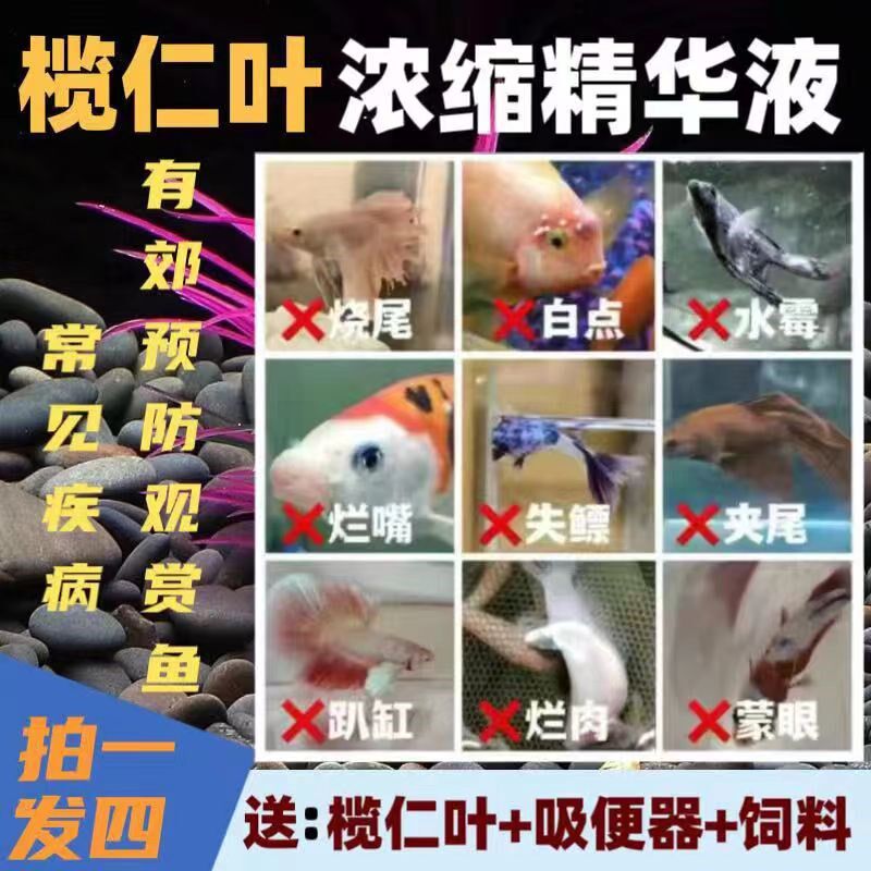 泰国斗鱼榄仁叶浓缩液榄仁叶水鱼缸PH值水质调节剂液态液体热带鱼