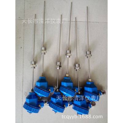 化工厂水泥厂热电厂铠普通装热电阻ZPK-241WZPK-W240