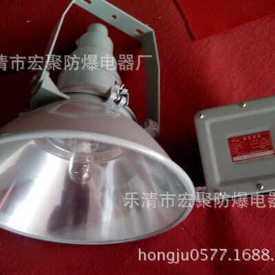SW7500防振投g光灯ZY8310抗震型投光灯 ZY8300 NTC9200EBF 203(B)