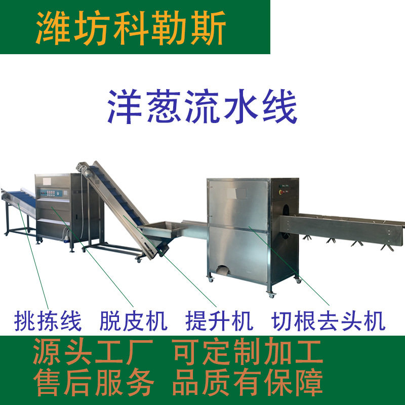 洋葱调味品配套设备厂家 圆葱去皮加工线 洋葱切根去头脱皮流水线