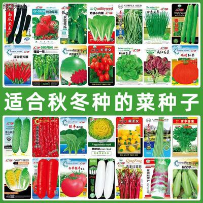 秋冬蔬菜种子大全九月