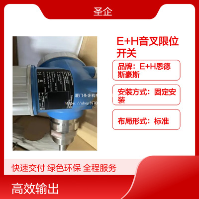E+H恩德斯豪斯 FTL51B 防腐型液体音叉限位开关 FTL62 带延长管