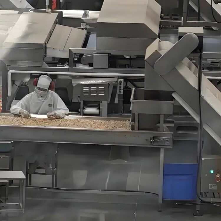 整套全自动腰果生产线休闲食品加工设备腰果大型油炸流水线