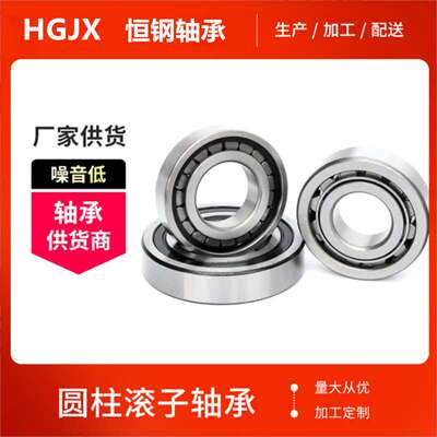 密封双列满装圆柱滚子轴承SL04  5004PP  NNF5004ADA-2LSV