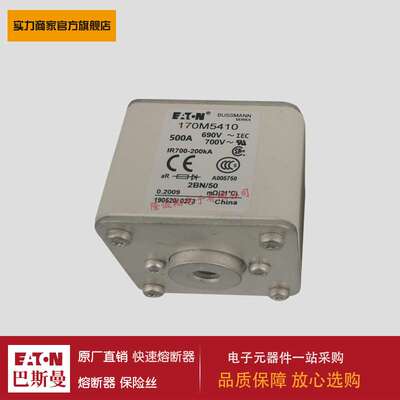 熔断器170M4418 170M4419 170M5408 170M5409 170M5410 170M5411