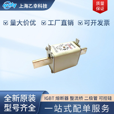 巴斯曼熔断器170M3816D-4863