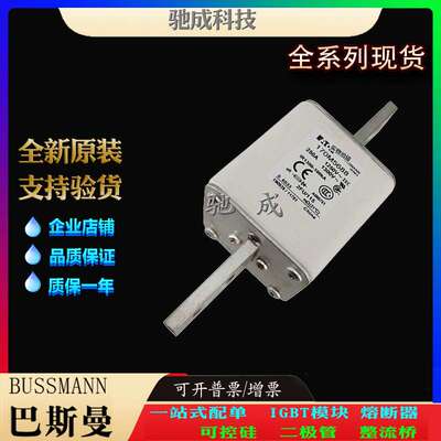巴斯曼170M5665 170M5666 170M5667 厂价供应优价供应  熔断器