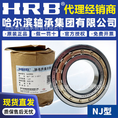 HRB哈尔滨重型电机轴承高速稳定