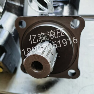 LEDUC力度克XPSi斜轴泵系列