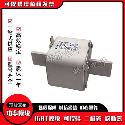 170M6658 170M6659 170M6660 170M6661巴斯曼熔断器170M6662