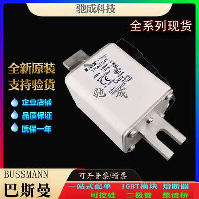巴斯曼170M5248 170M5249 170M5250 现货直销销售价优 高速熔断器