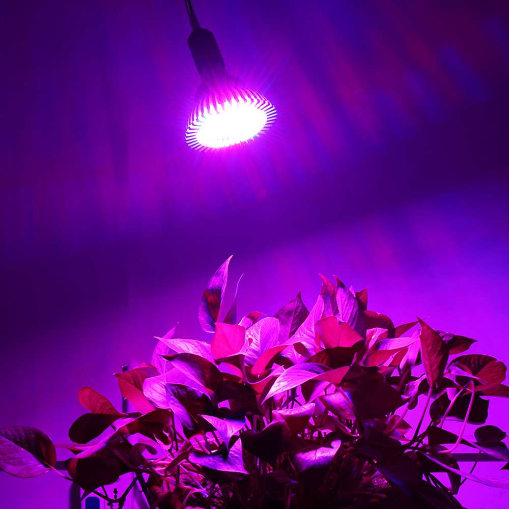 厂家直销 新款36株LED植物灯 盆栽水培有机果蔬多肉植物补光灯