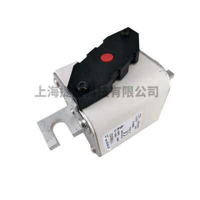 170M6252  170M6253 快速熔断器  保险丝 电子元器件 量大价优