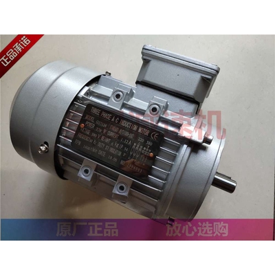 THREE PHASE AC INDUCTION MOTOR 三相电机 GS7124 GS8036 GS6322