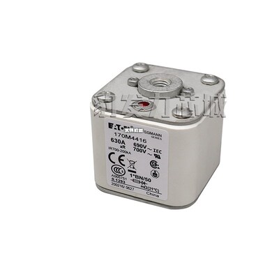 170M4464 170M4465 170M4466 170M4467 170M4468 170M4469熔断器