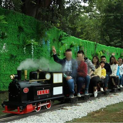 户农SJZ外景区设庄花海观网红蒸汽轨道火车游乐光备电动有轨可坐