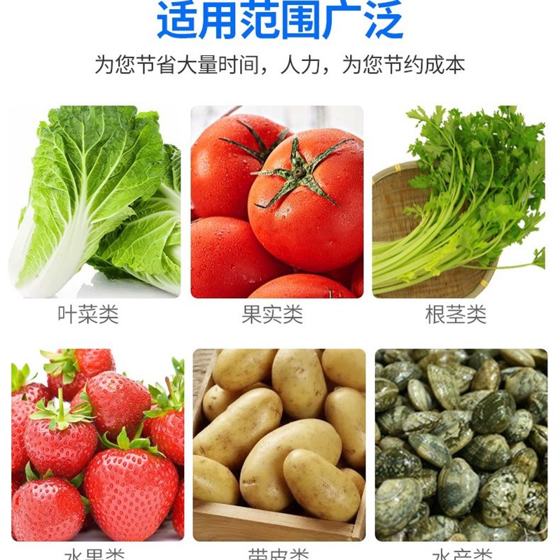 大型果蔬a清洗机 小龙虾土豆喷淋式果蔬清洗机 叶菜类清洗流水线