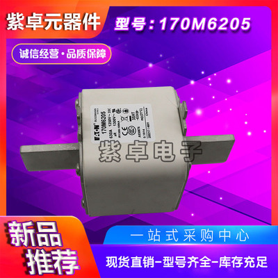 伊顿巴斯曼170M6243-6247保险丝