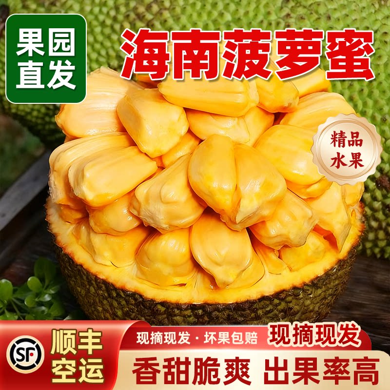 【顺丰包邮】海南发货菠萝蜜现摘新鲜香甜一整个送货上门黄肉波罗
