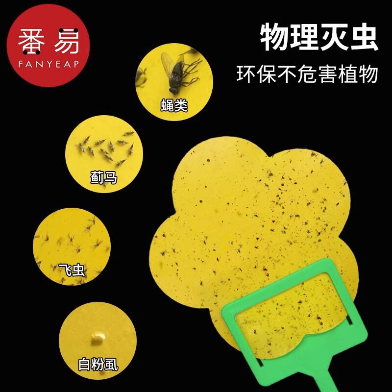 粘虫板B1zzn001-小黄板双面小飞虫诱虫沾虫纸果蝇粘虫器防水耐高