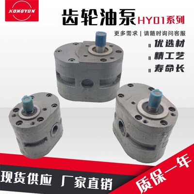 液压齿轮泵HY01-5x10/3X5/8X15/12X2油泵总成HY01-100X25配件大全