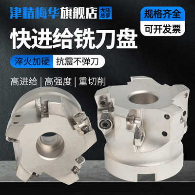 梅华ASRF12快进给刀盘506