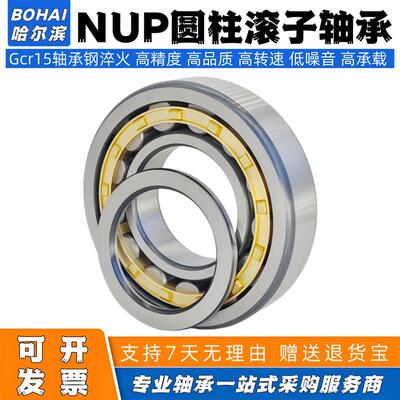 圆柱滚子轴承NUP303 304 305 306 307 308 309 310 311 312 313EM