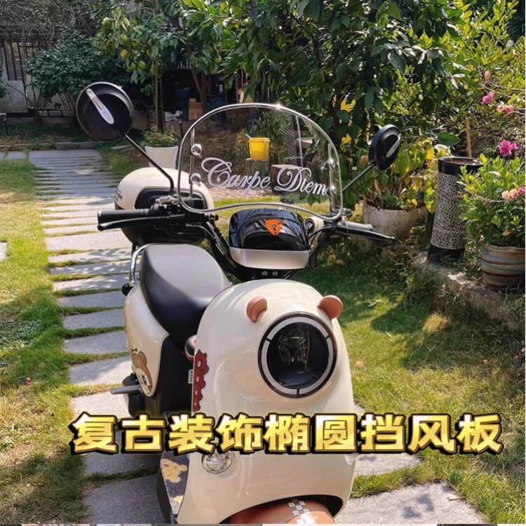 适用艾玛晴天台铃九号小牛电动车挡风板小型电瓶车前风挡复古装饰