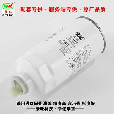 供应 G5800-1105240C适配玉柴CX1017重汽VG1540080211柴油滤清器
