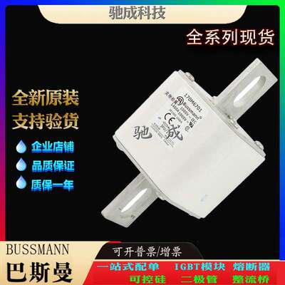 巴斯曼170M6708 170M6709 170M6710 经销 直销价优 高速熔断器