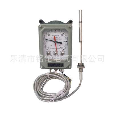 BWY型变压器温度控制器 BWY(WTYK)-802TH 油面温控器0-100℃