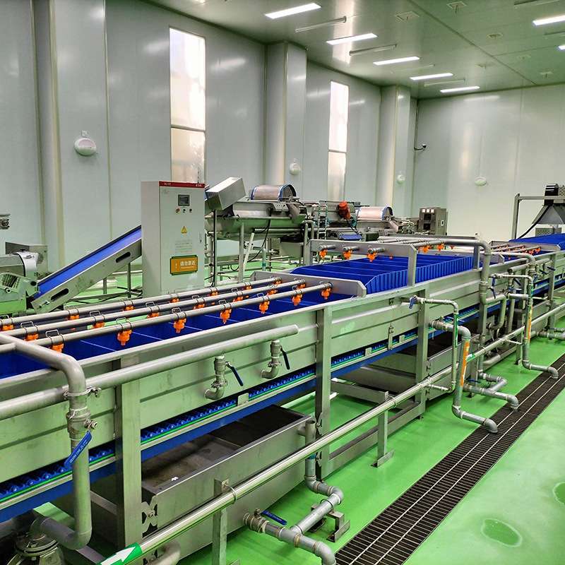 根茎、叶菜类、鲜切菜二合一清洗流水线大型净菜加工中央厨房设备