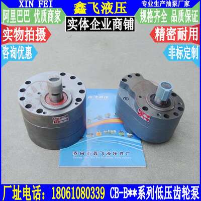 TXLB-B16 B20 B25 B32 B40 B50 B63 B80 B100 B125齿轮油泵HYXCB