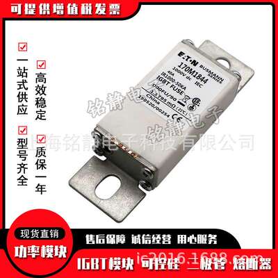 170M1740 170M1741 170M1742 170M1785 170M1786巴斯曼熔断器现货